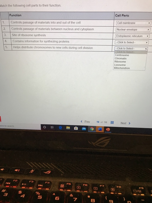 Solved Match the following cell parts to their function. | Chegg.com