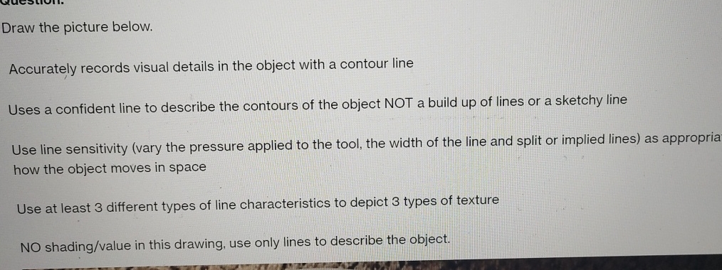 Solved Draw the picture below.Accurately records visual | Chegg.com