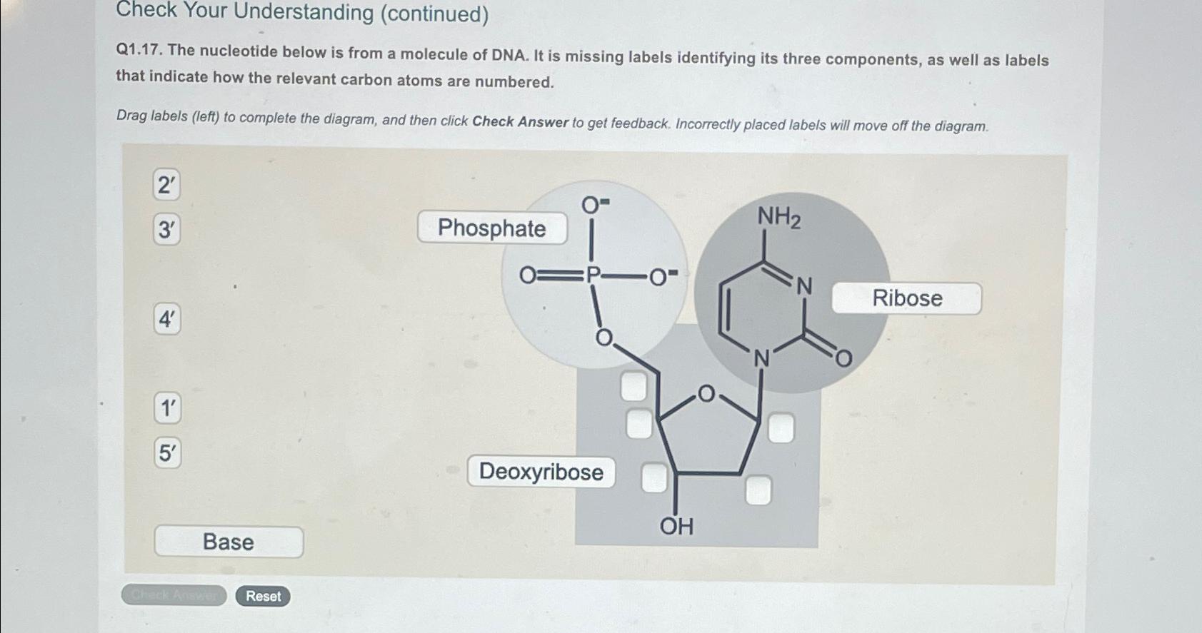 Solved Check Your Understanding (continued)Q1.17. ﻿The | Chegg.com
