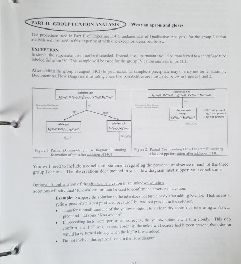 QUALITATIVE ANALYSIS: GENERAL UNKNOWN REPORT SHEET | Chegg.com