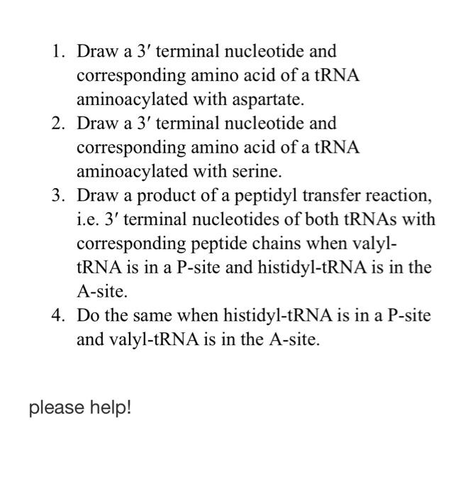 1. Draw a 3′ terminal nucleotide and corresponding | Chegg.com