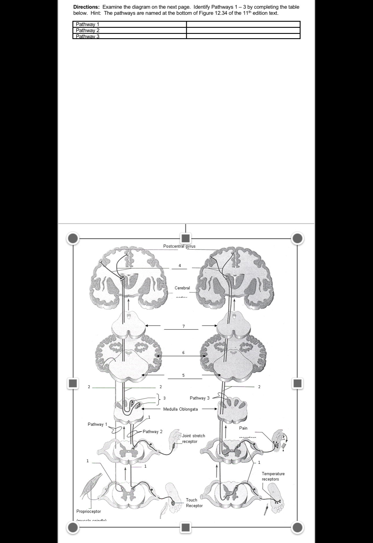 Solved Directions: Examine the diagram on the next page. | Chegg.com