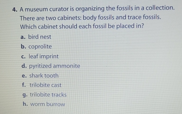 Solved A museum curator is organizing the fossils in a | Chegg.com