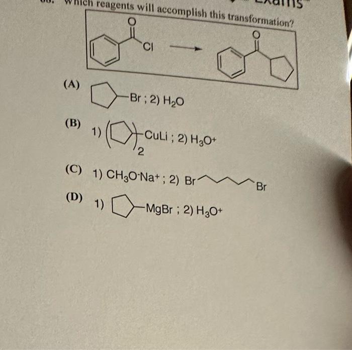Solved What Is The Major Mono Brominated Product Of This