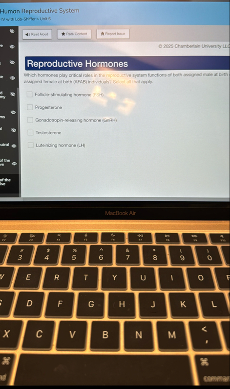 Solved Human Reproductive SystemN with Lob-Shiffer > ﻿Unit | Chegg.com