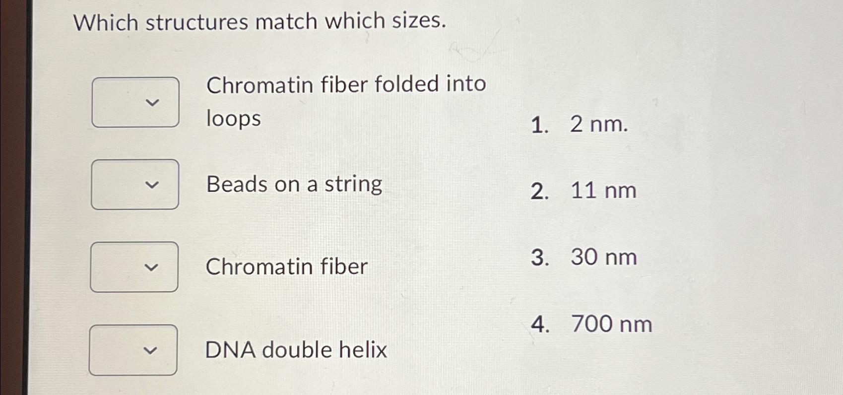 Solved Which structures match which sizes.Chromatin fiber | Chegg.com
