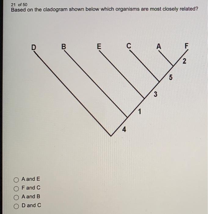 Solved 21 of 50 Based on the cladogram shown below which | Chegg.com