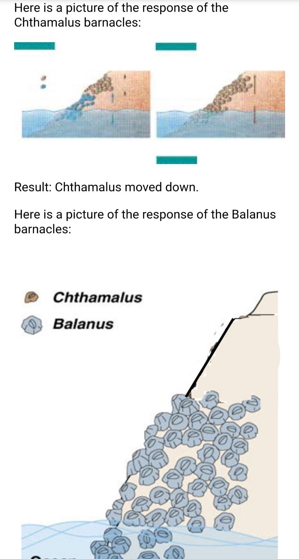 Solved Joseph Connell and Competition Joseph Connell was | Chegg.com