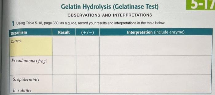 Solved Gelatin Hydrolysis (Gelatinase Test) OBSERVATIONS AND | Chegg.com