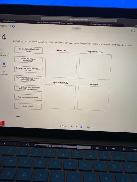 theon.com C0-300-2022 202110- Play Medicatie Campus | Chegg.com