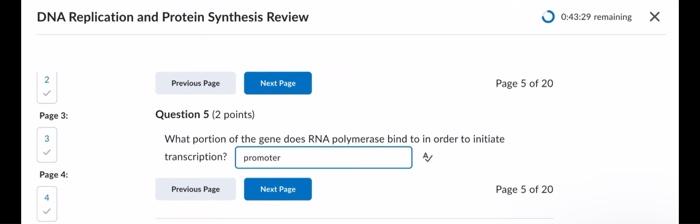 Solved DNA Replication and Protein Synthesis Review | Chegg.com