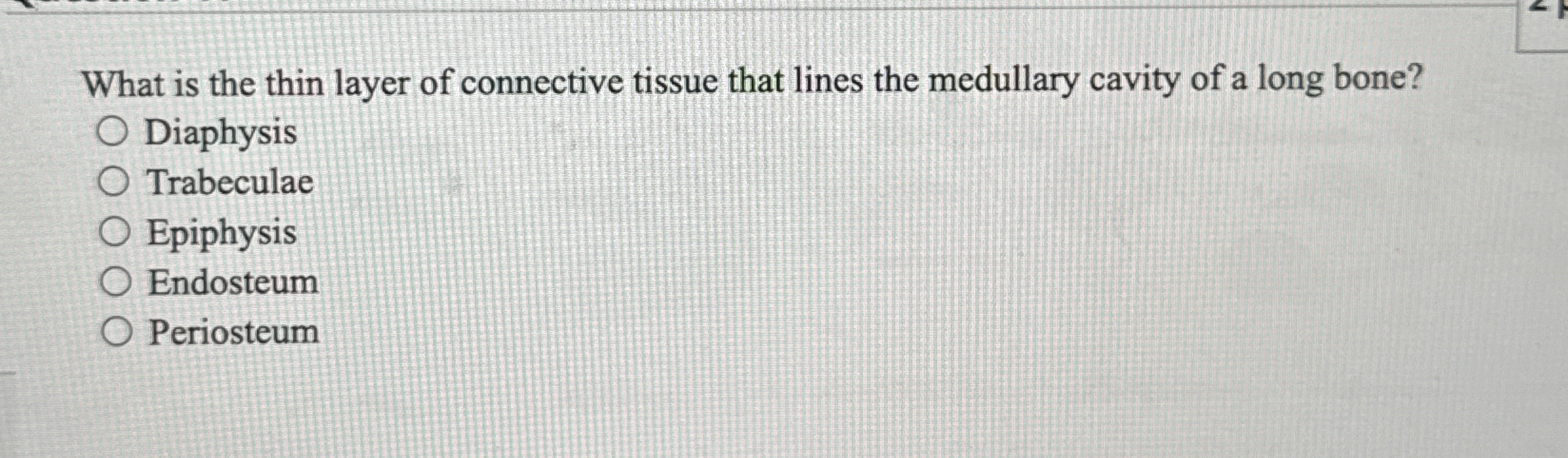 Solved What is the thin layer of connective tissue that | Chegg.com