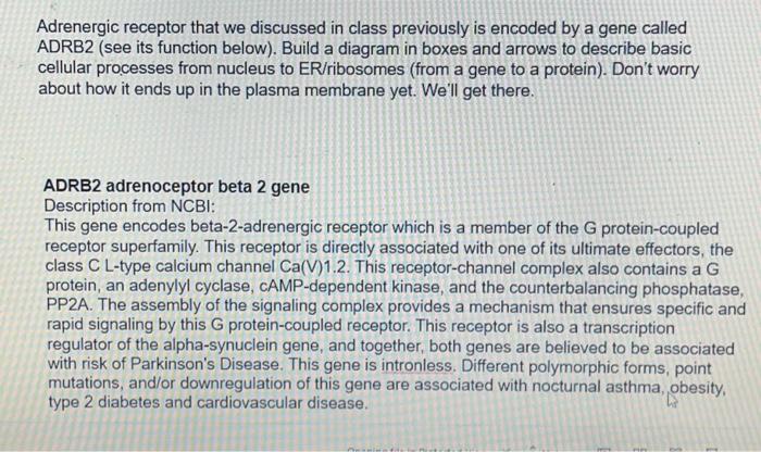 Solved Adrenergic receptor that we discussed in class | Chegg.com
