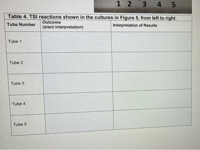 Solved 2 3 4 5 Activity 5: Interpret the outcomes for the 4 | Chegg.com