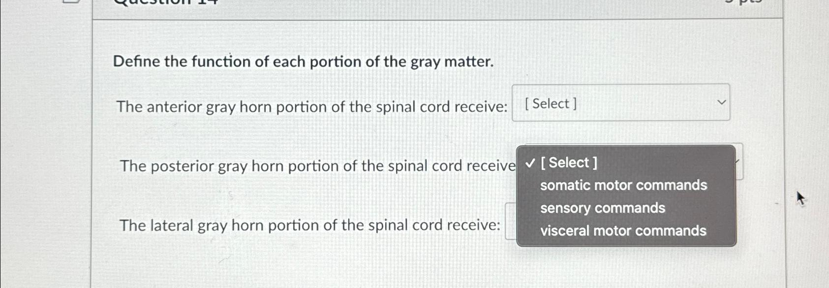Solved Define the function of each portion of the gray | Chegg.com