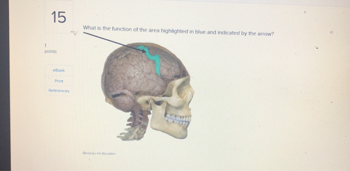 Solved What is the function of the area highlighted in blue | Chegg.com