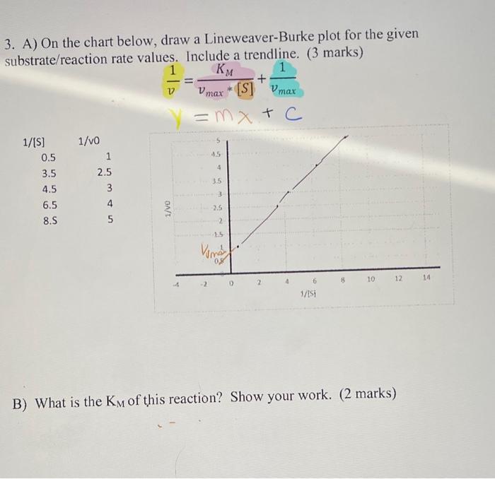 Solved 3. A) On the chart below, draw a Lineweaver-Burke | Chegg.com