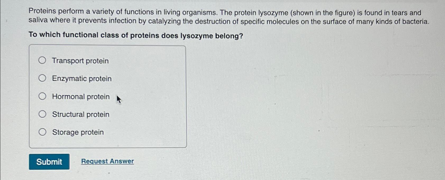 Solved Proteins perform a variety of functions in living | Chegg.com
