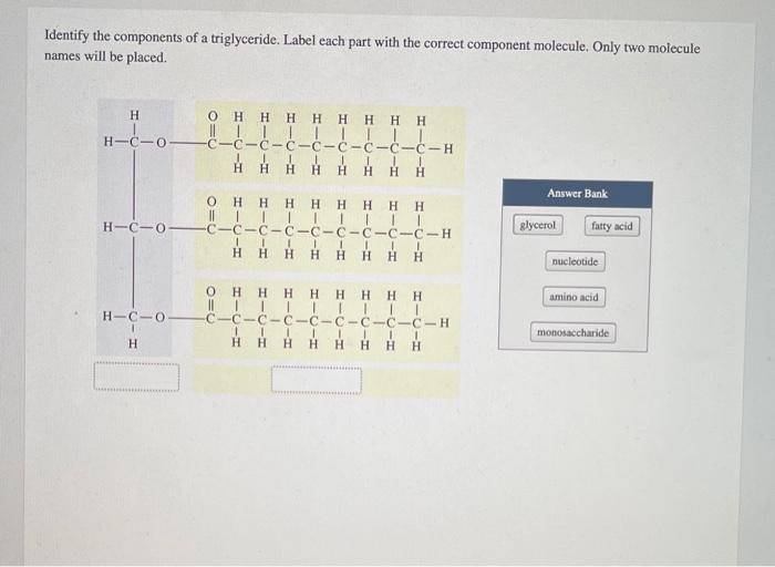 Solved Identify the components of a triglyceride. Label each | Chegg.com