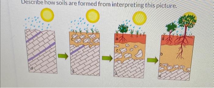 Solved Describe how soils are formed from interpreting this | Chegg.com