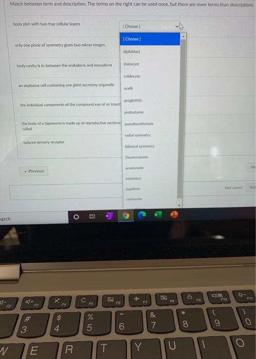 Solved Match between term and description. The terms on the | Chegg.com