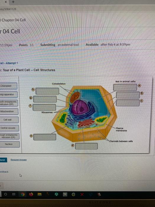 Solved X + nts/30841128 Chapter 04 Cell r 04 Cell 11:59pm | Chegg.com