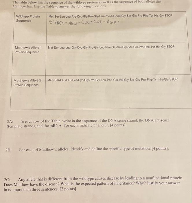 Solved The table below has the sequence of the wildtype | Chegg.com