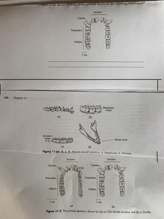 Dhe sed, Figure 1A... con Molon Compatriate hainy | Chegg.com