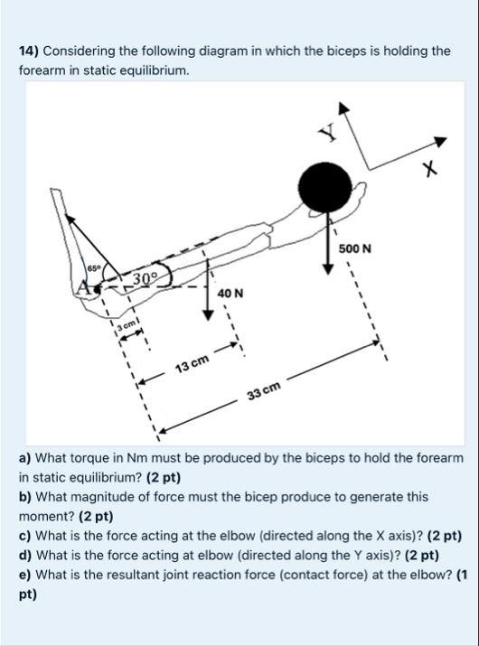 Solved Considering the following diagram in which the biceps | Chegg.com