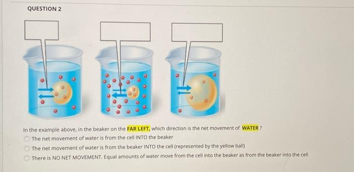 Solved QUESTION 1 х flo Which term describes the solution in | Chegg.com