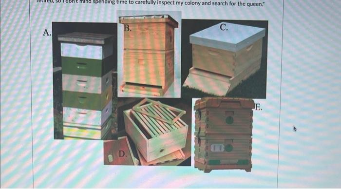 Solved The images below depict different types of hive | Chegg.com