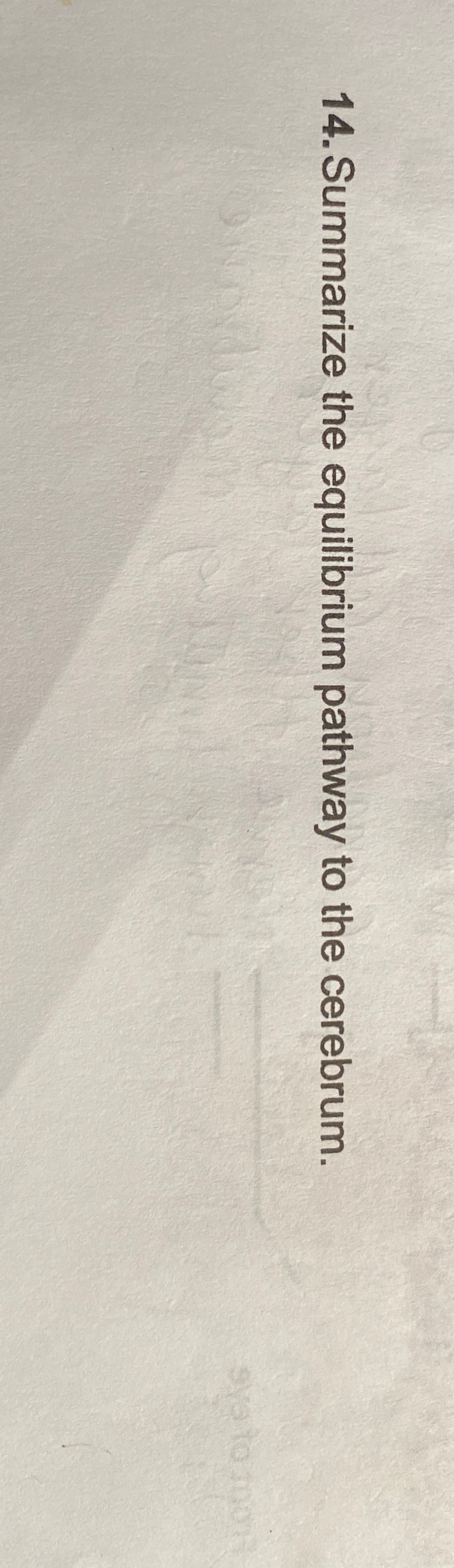 Solved Summarize the equilibrium pathway to the cerebrum. | Chegg.com