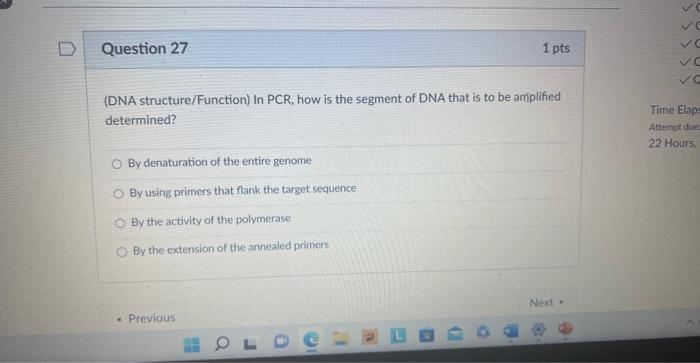 Solved (DNA structure/Function) In PCR, how is the segment | Chegg.com