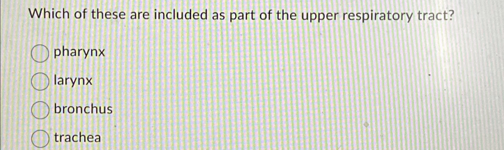 Solved Which of these are included as part of the upper | Chegg.com