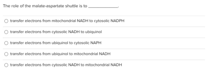 Solved The role of the malate-aspartate shuttle is to | Chegg.com