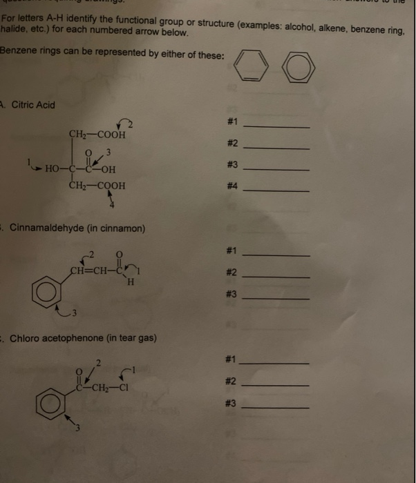 Solved For letters A-H identify the functional group or | Chegg.com