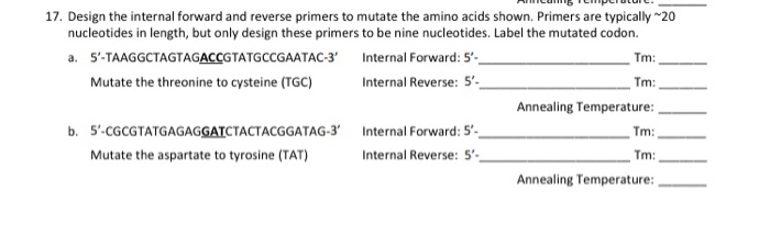 Solved 17. Design the internal forward and reverse primers | Chegg.com