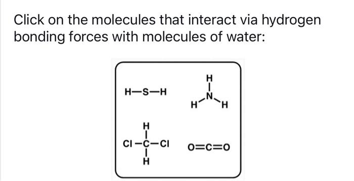 Click on the molecules that interact via hydrogen | Chegg.com