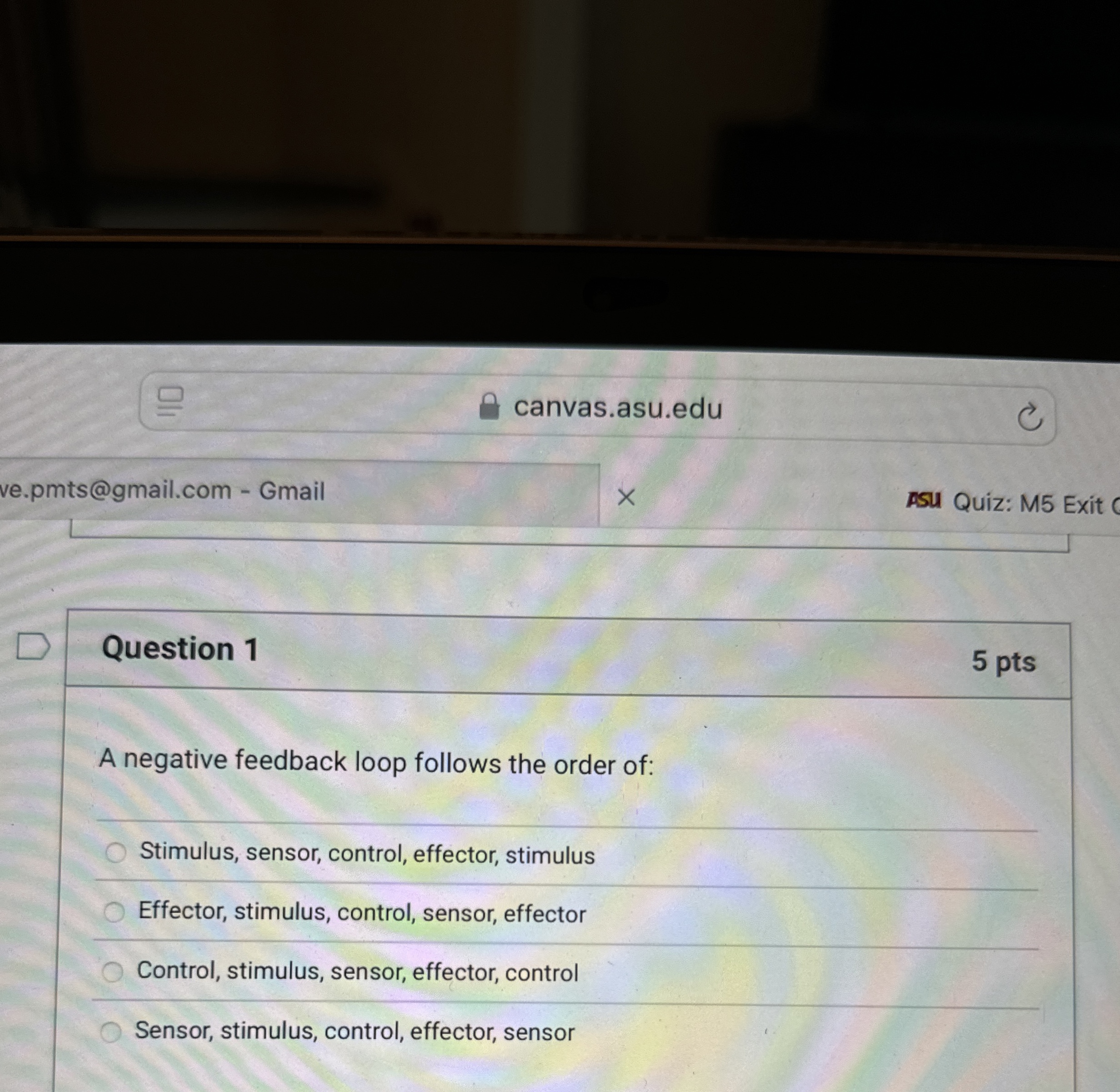 Solved Question 1A negative feedback loop follows the order | Chegg.com