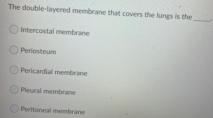 Solved The double-layered membrane that covers the lungs is | Chegg.com