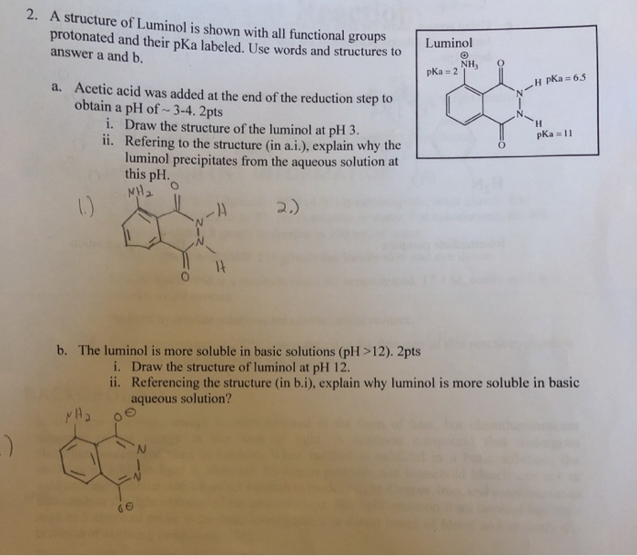 Solved 2. A structure of Luminol is shown with all | Chegg.com