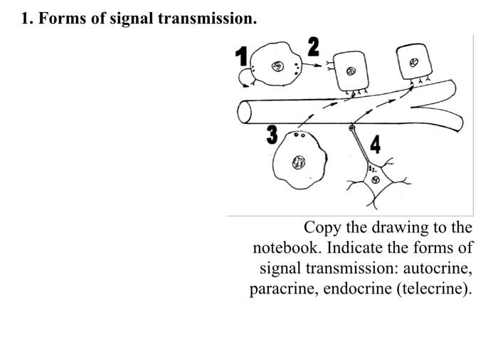 Solved 1. Forms of signal transmission. 2 4 Copy the drawing | Chegg.com