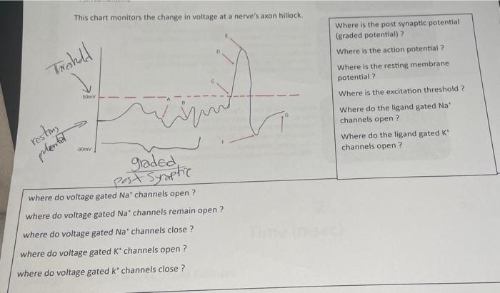 Solved This chart monitors the change in voltage at a | Chegg.com