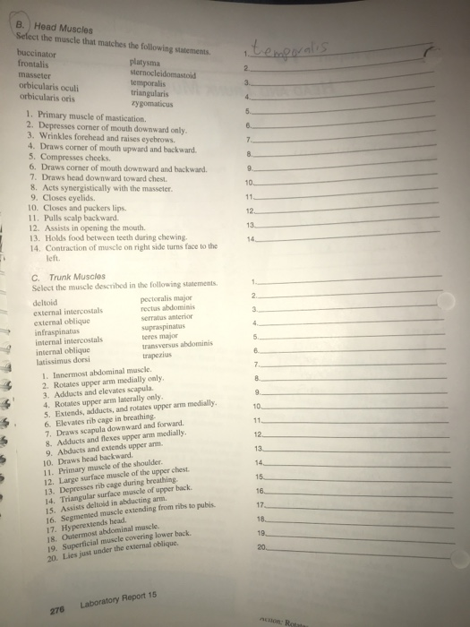 Solved B. Head Muscles Select the muscle that matches the | Chegg.com