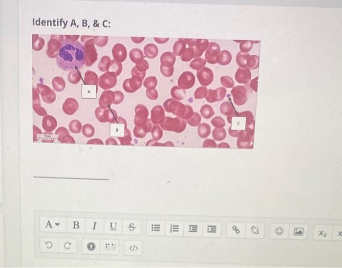 Solved Identify A, B, \& C: | Chegg.com