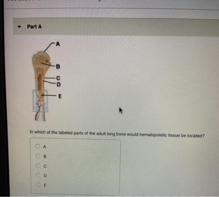 Solved OH C1 CI CI Part A B с D E in | Chegg.com