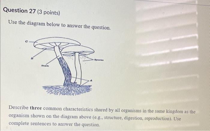 Solved Use the diagram below to answer the question. | Chegg.com