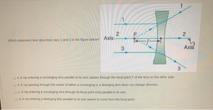 Solved Which statement best describes rays 1 and 3 in the | Chegg.com