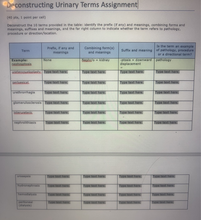 Solved Deconstructing Urinary Terms Assignment (40 pts, 1 | Chegg.com