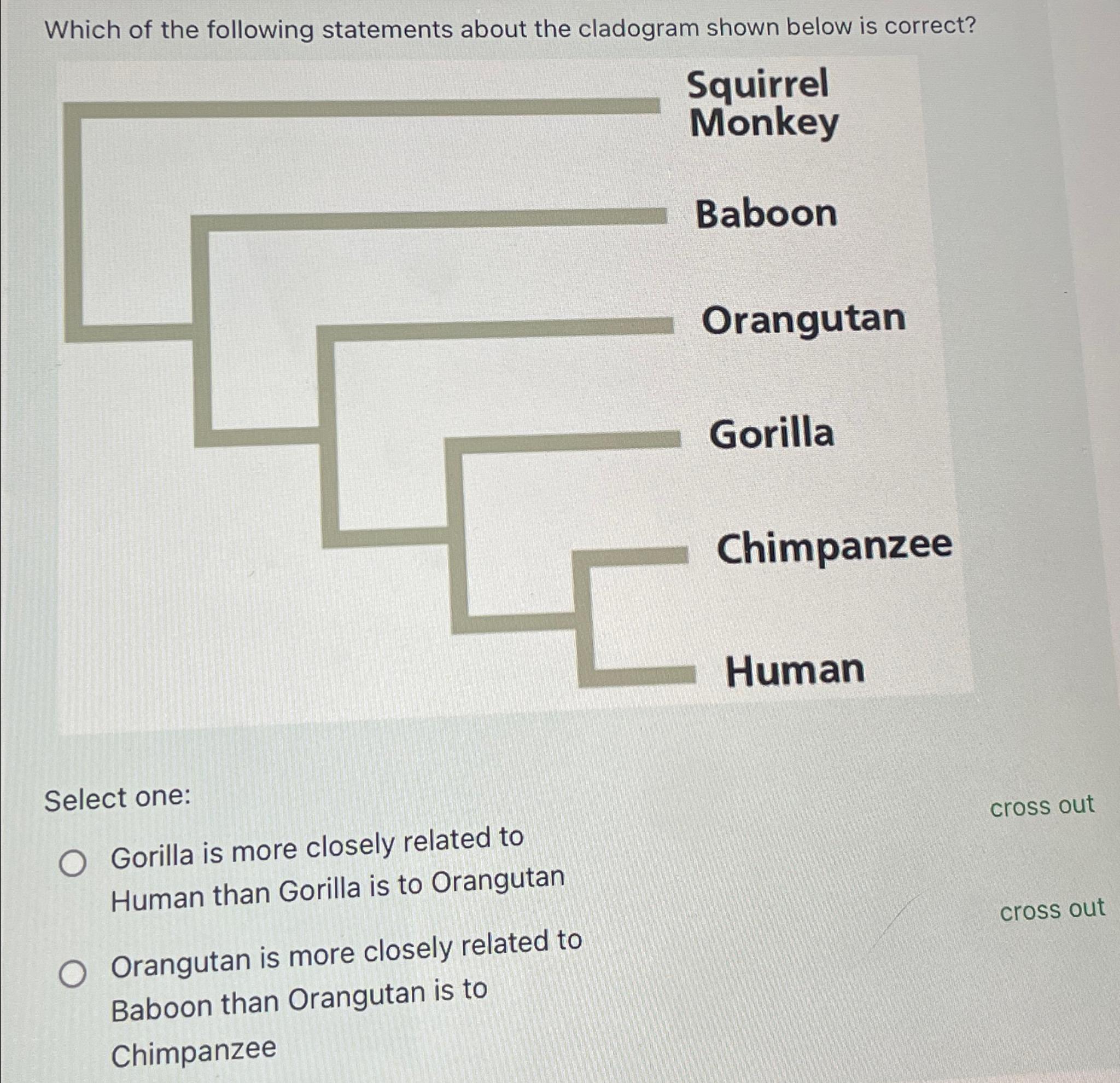 Solved Which of the following statements about the cladogram | Chegg.com